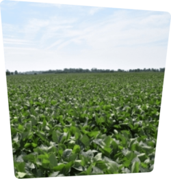 About Us : Clark Agri